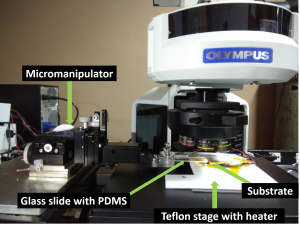 Lab Facilities and Setups – Nanoelectronic Devices Research Group