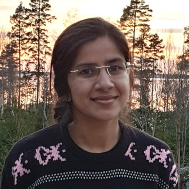 Pallavi Paliwal – EE IIT Bombay
