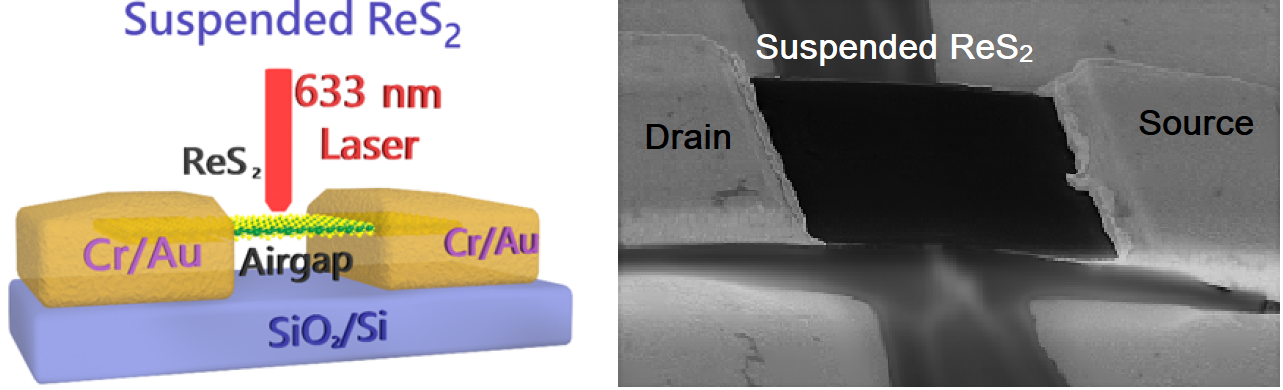 2D Materials and Devices – Nanoelectronic Devices Research Group