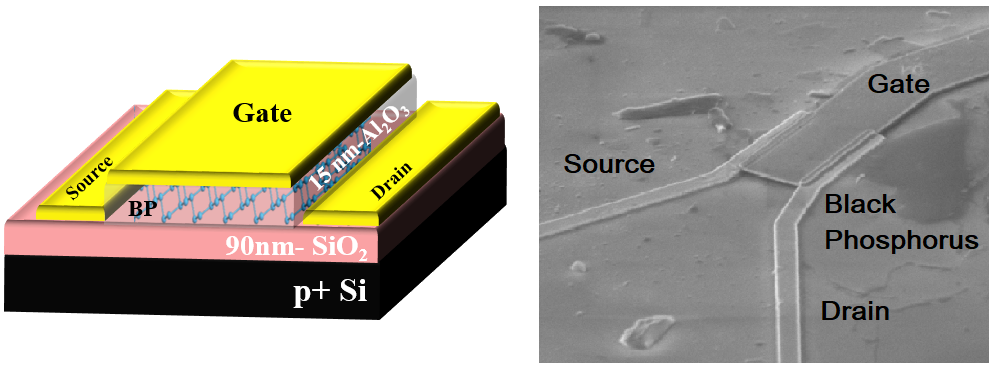 2D Materials and Devices – Nanoelectronic Devices Research Group